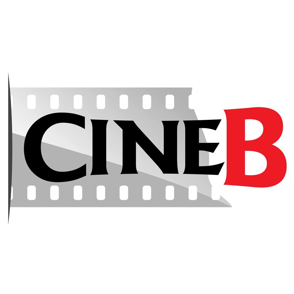 CineB Dordtselaan 151a Rotterdam - Search Indie